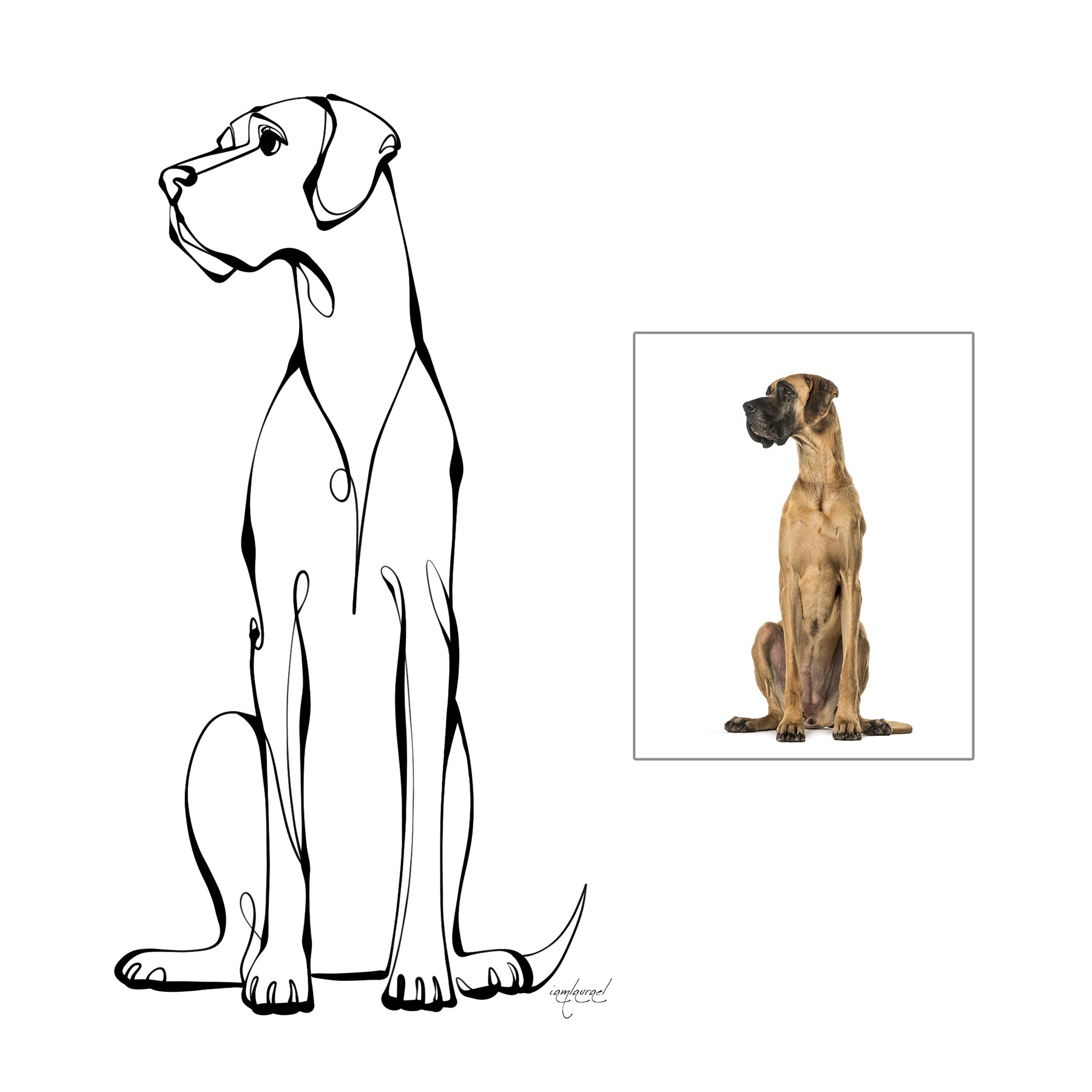 Custom Pet Portrait - Line Art Drawing – Stellar Villa