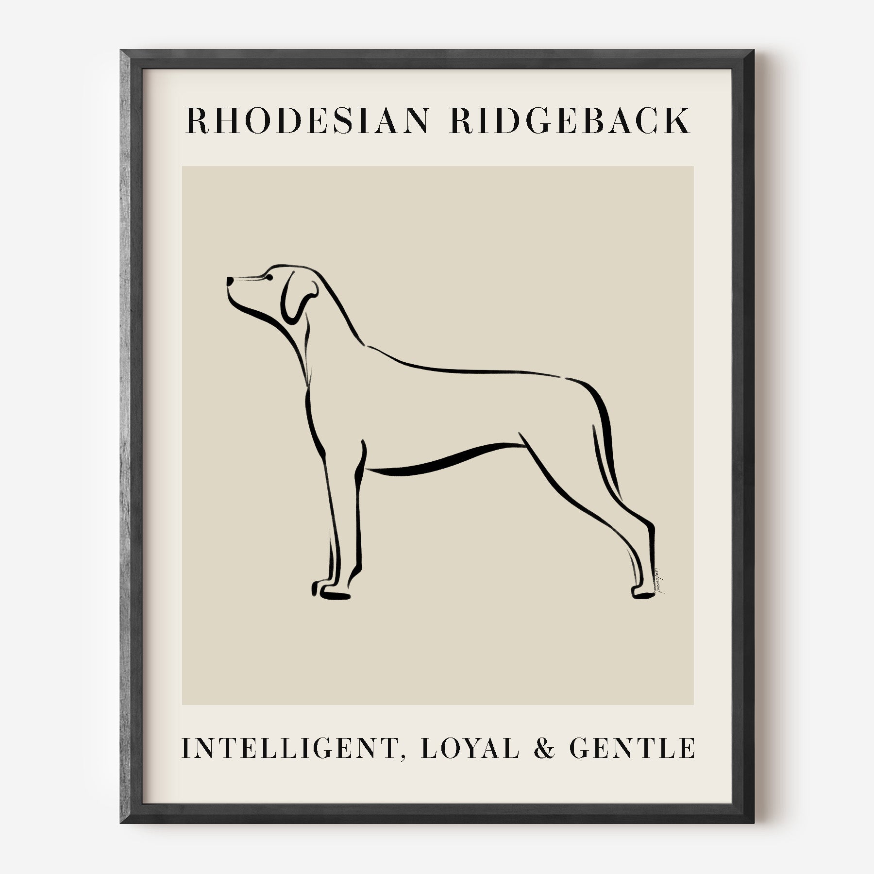 Rhodesian Ridgeback Line Art Print – Stellar Villa
